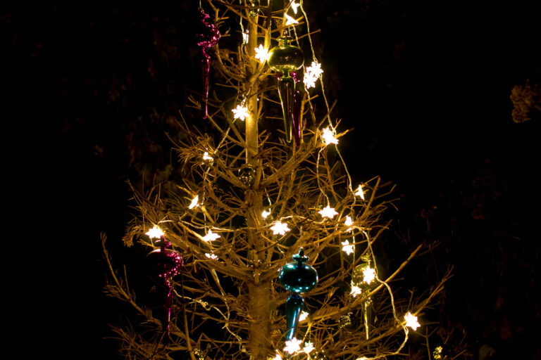 How to Decorate with a Fairy Light Spirit Tree - Pep up home